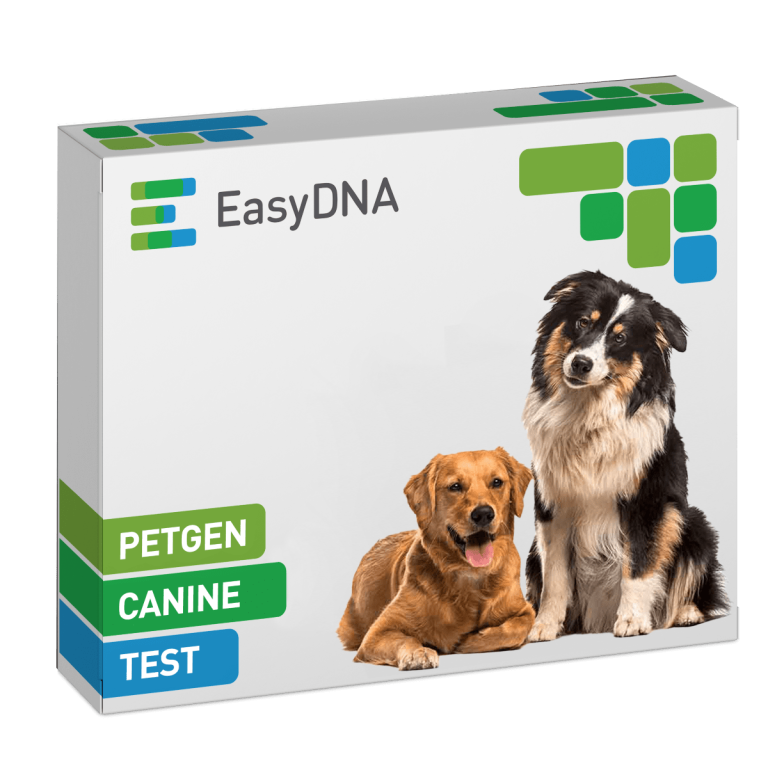 PetGen Canine DNA Test | #1 EasyDNA New Zealand - Paternity Testing ...